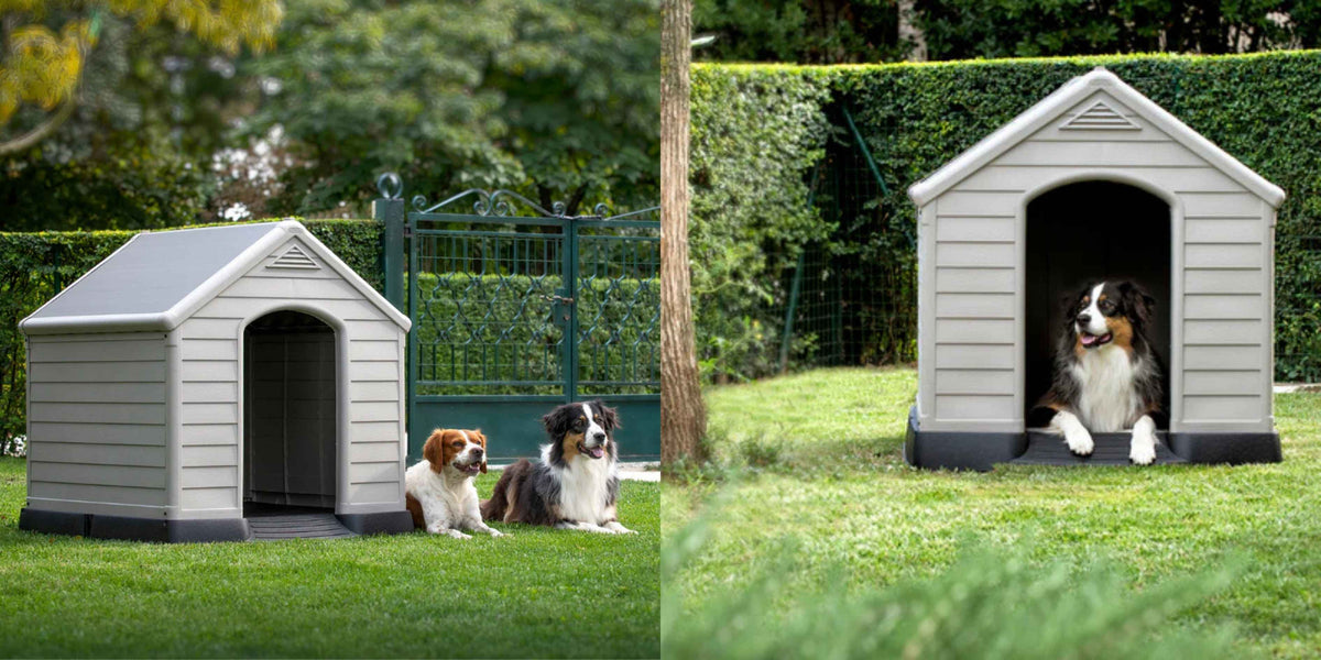Dog House Buying Guide | Choose the Best Outdoor Dog House